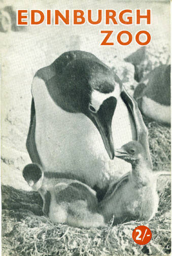 Edinburgh Zoo guide or guidebook for 1961.